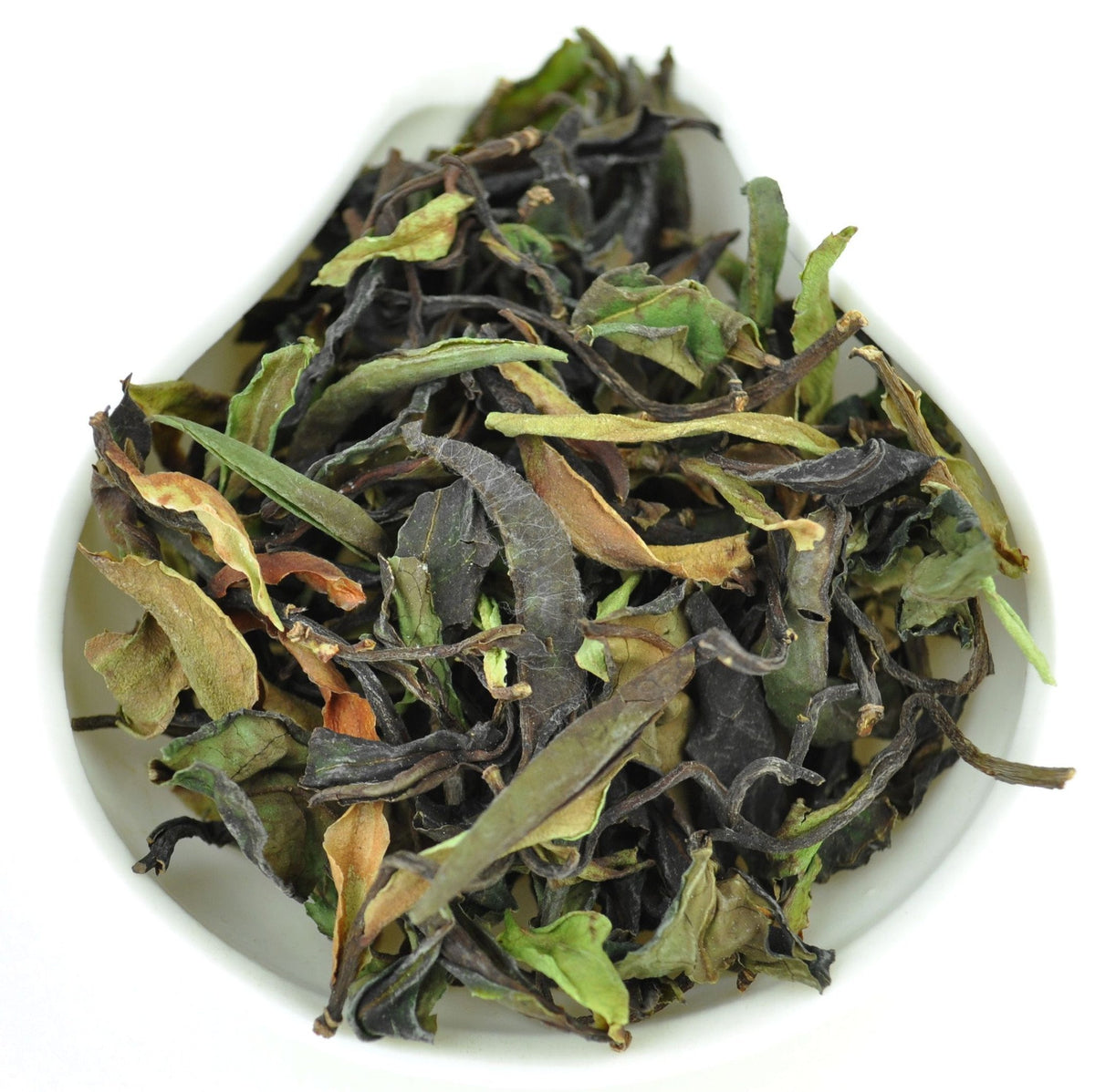 Wild Tree "Ye Sheng" White Tea — Yunnan Sourcing USA