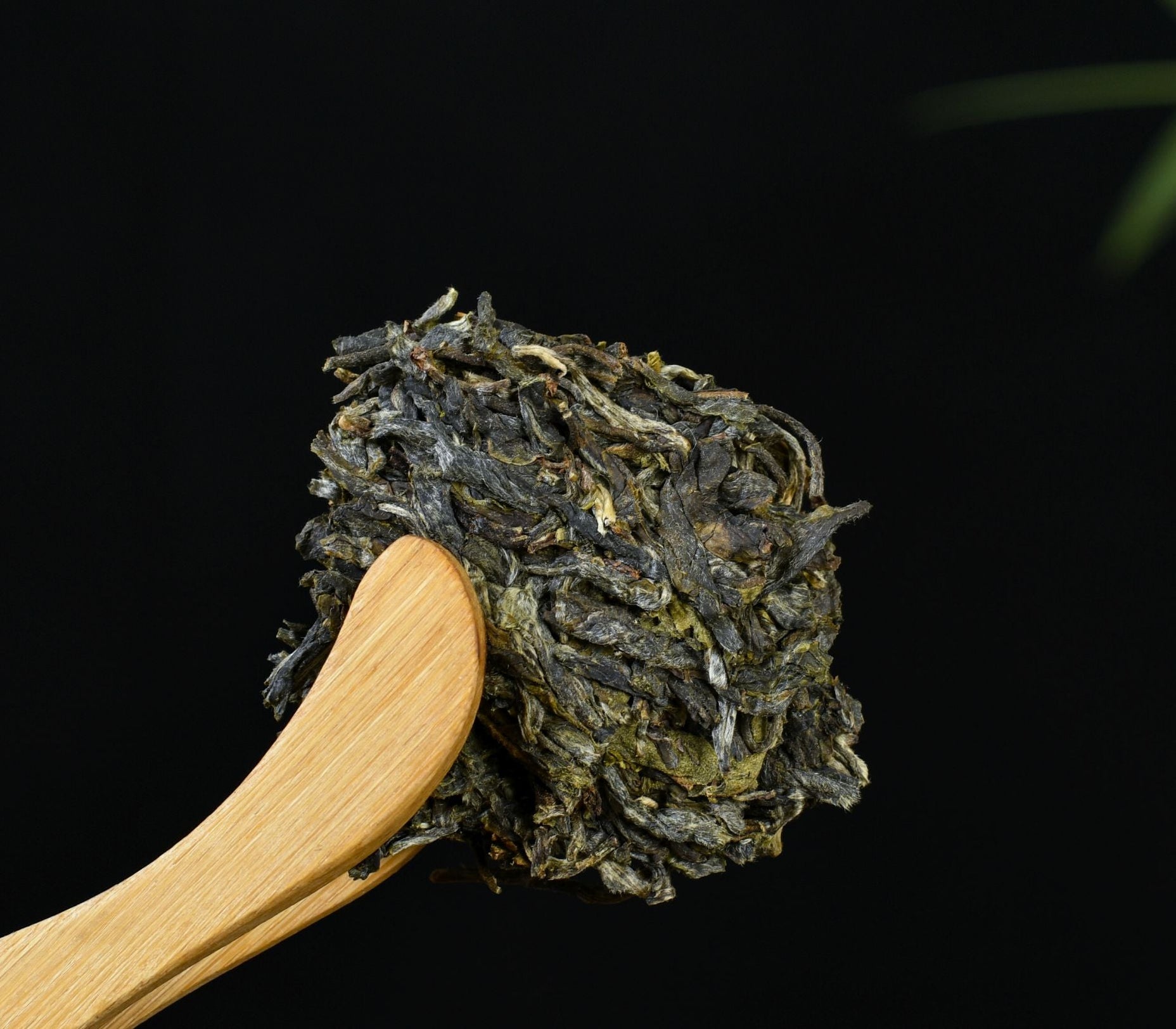 2022 Yunnan Sourcing "Suan Zao Shu" Old Arbor Raw Pu-erh Tea Cake — Yunnan Sourcing USA
