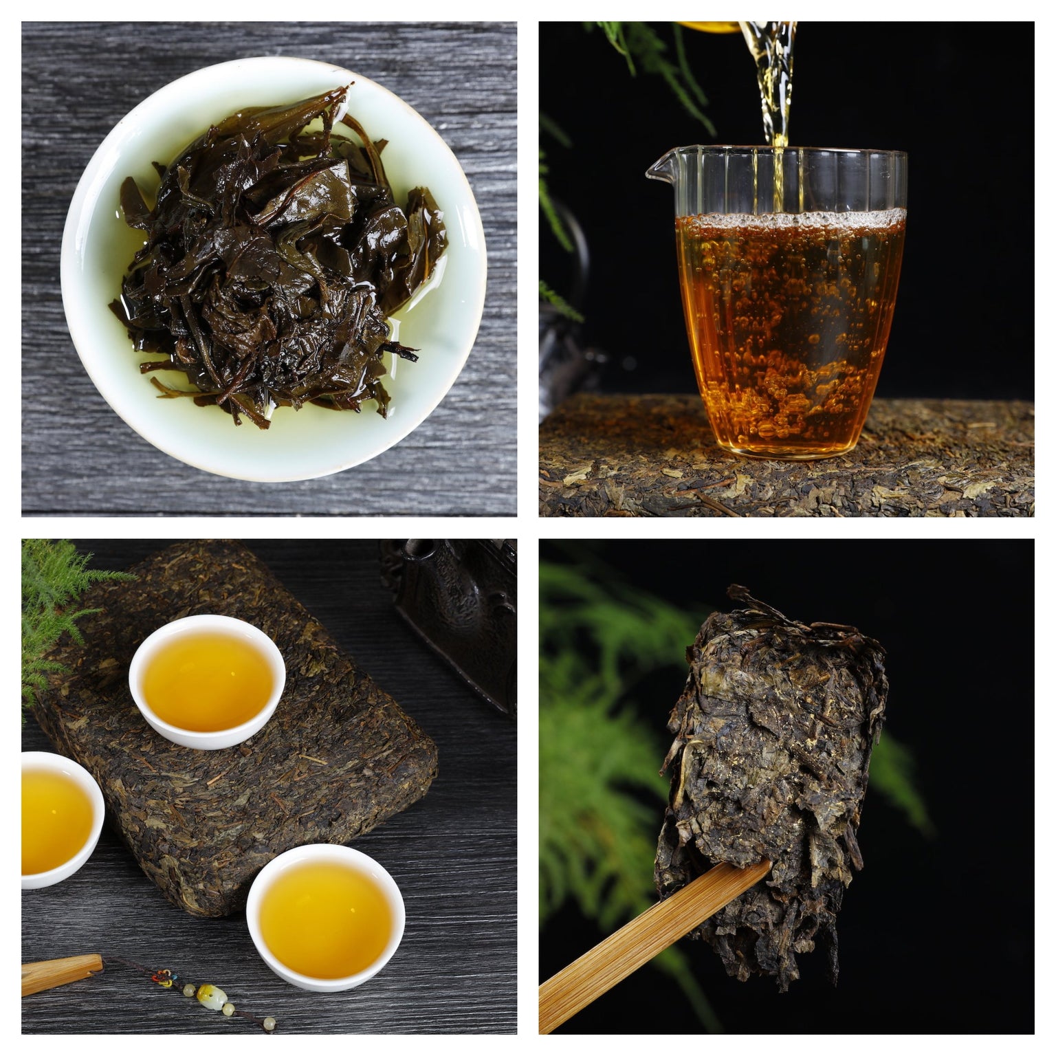 Curated Tea Samplers — Yunnan Sourcing USA